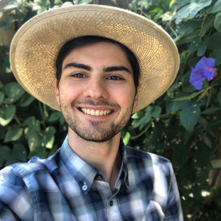 About VCE Summer Tutoring - VCEST